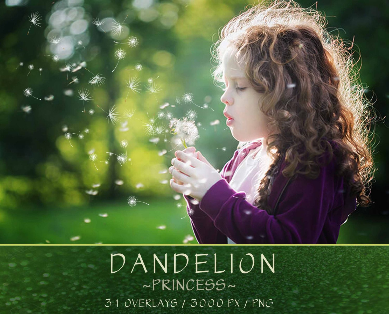 Dandelion Photo Overlay Princess - Photoshop Templates Photography ...
