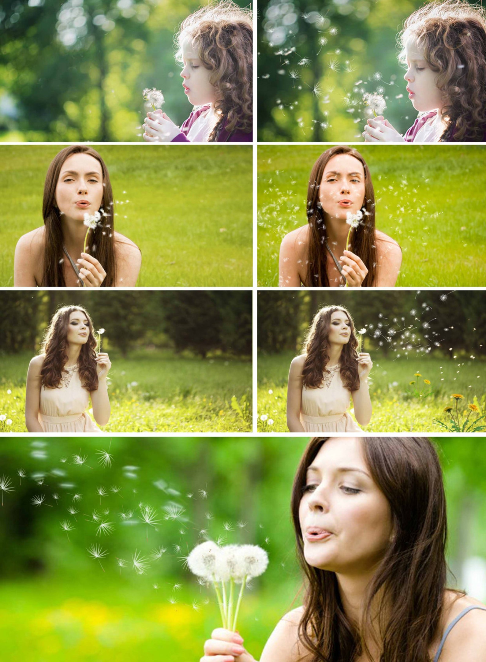 Dandelion Photo Overlay Princess - Photoshop Templates Photography ...