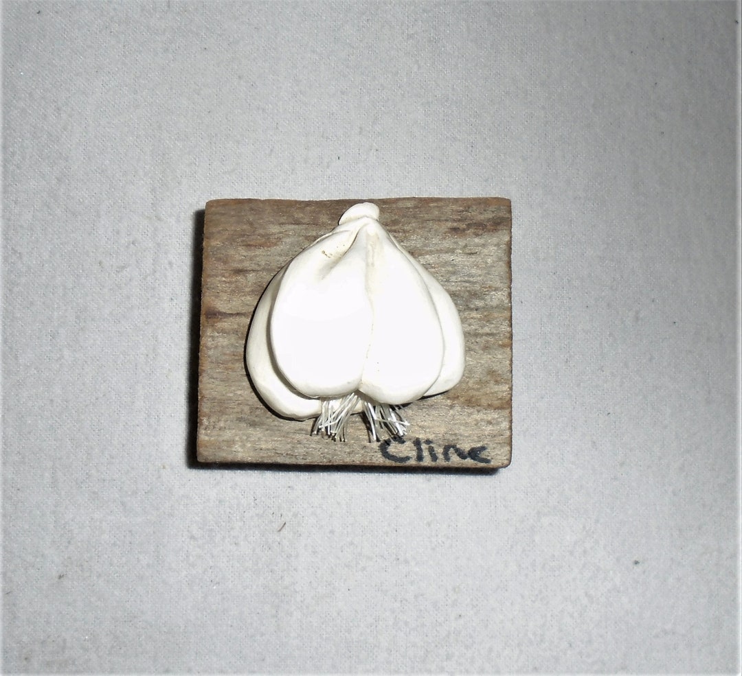 Carol Cline Handmade Garlic Vegetable on Vintage Barn Wood Wall Decor ...