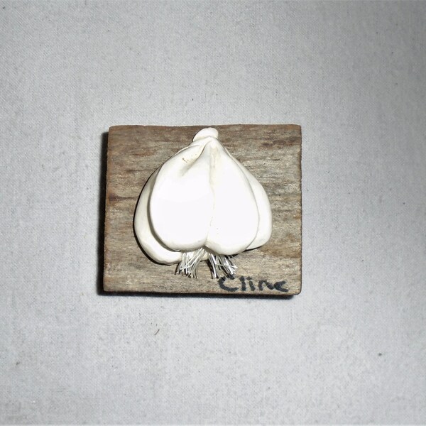 Hanging Garlic Decor - Etsy