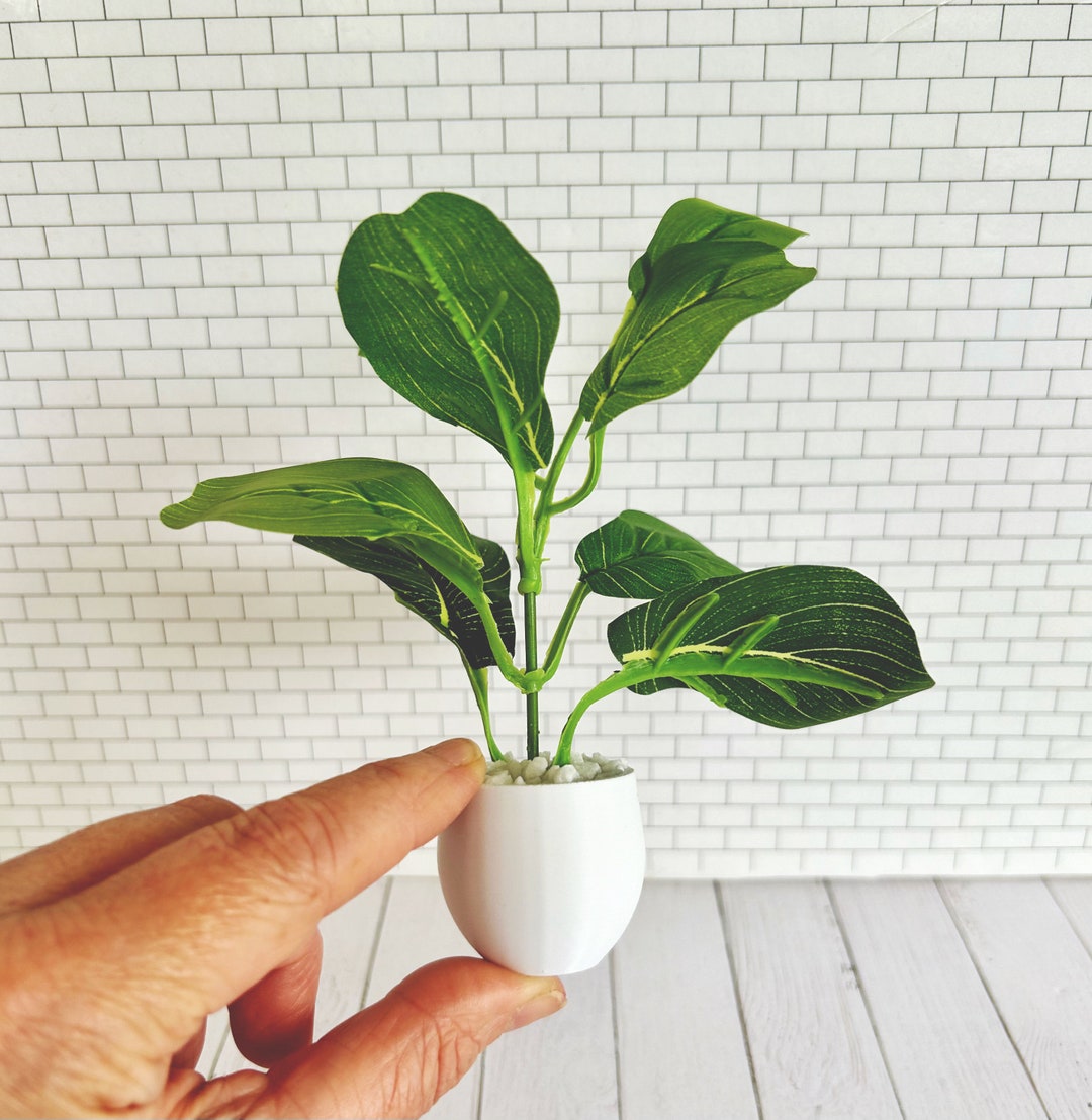 Dollhouse Miniature Fiddle Leaf Fig - Etsy Australia