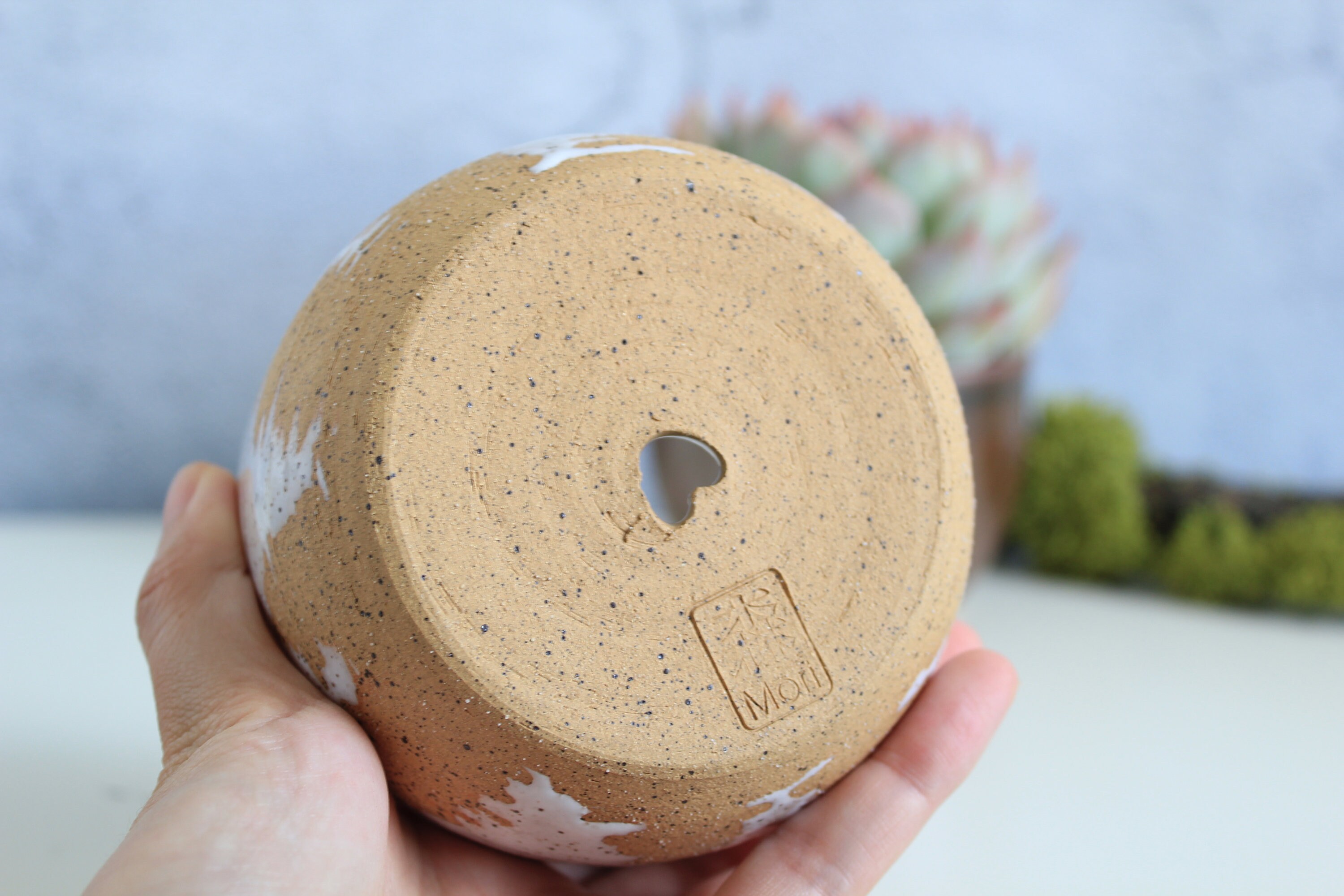 Pine tree planter handmade planter Pottery planter Small | Etsy