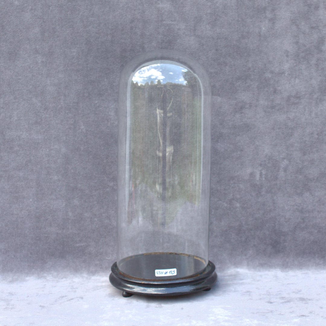 Antique French Round Glass Dome Bell Jar 43 Cm 16.92" High Hand Blown ...