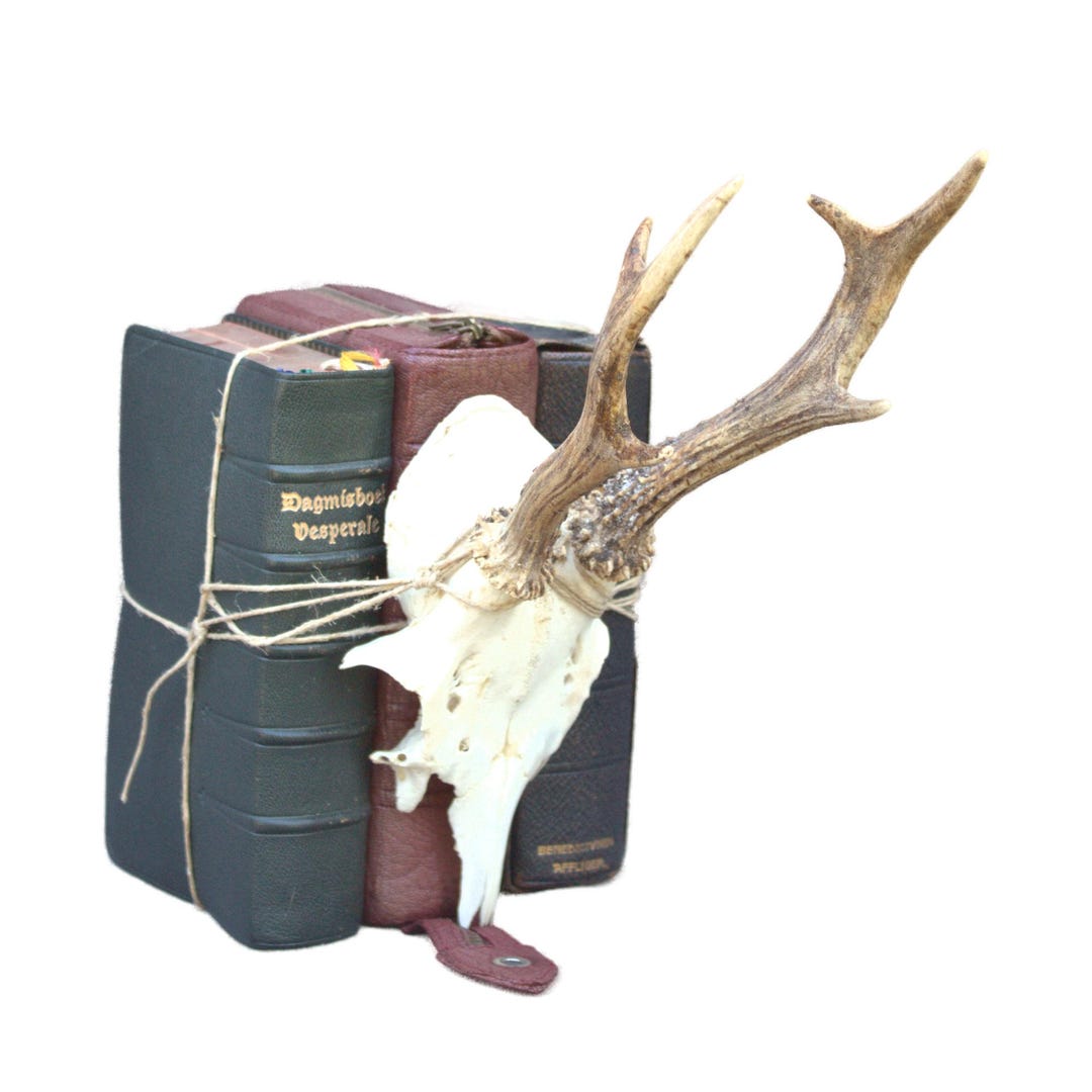 Vintageggothic Deer Skull Book Stack Bookcase Home Decor With Religious ...