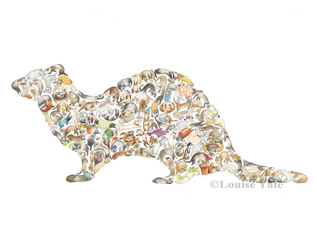 Ferret Print, Nursery Decor, Nursery Art, Abc Print, Animal Print ...