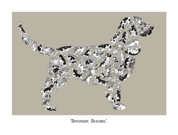 Springer Spaniel Print Dog Lover Print Signed | Etsy