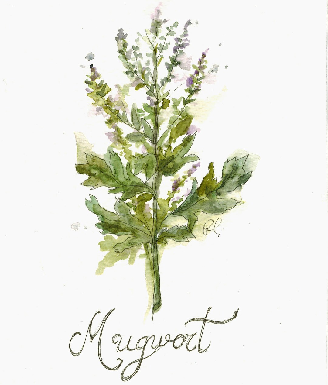 Mugwort original Watercolor - Etsy