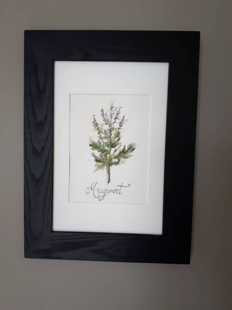 Mugwort original Watercolor - Etsy