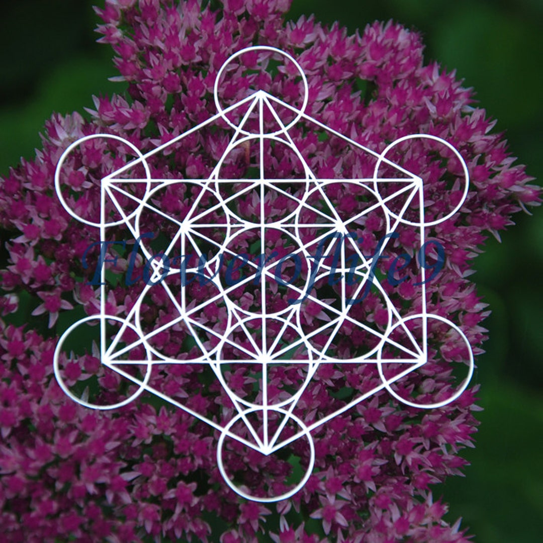 Metatron's Cube - Carafe or Water Bottle Coaster - Stainless Steel - Etsy