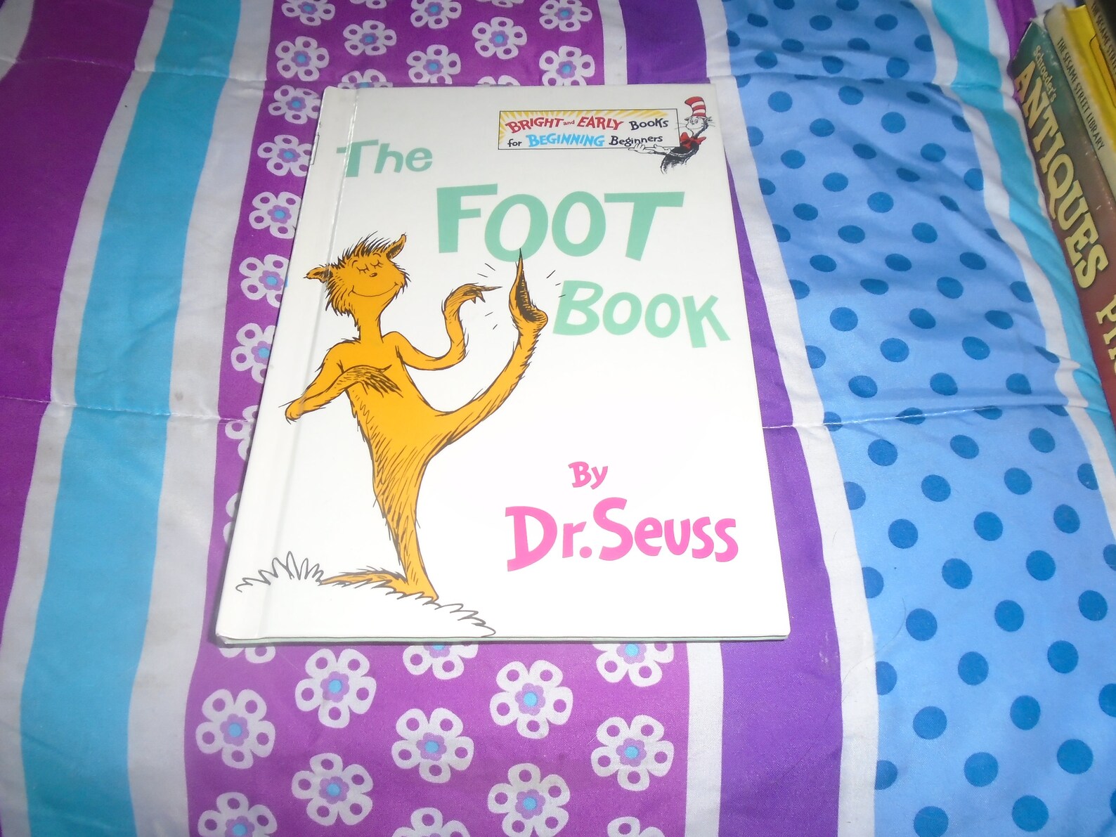 The Foot Book by Dr. Seuss Illustrated Children's Book | Etsy