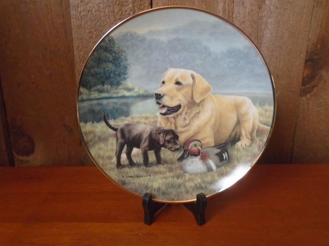 Franklin Mint First Encounter Fine Porcelain Collector Plate by Nigel ...