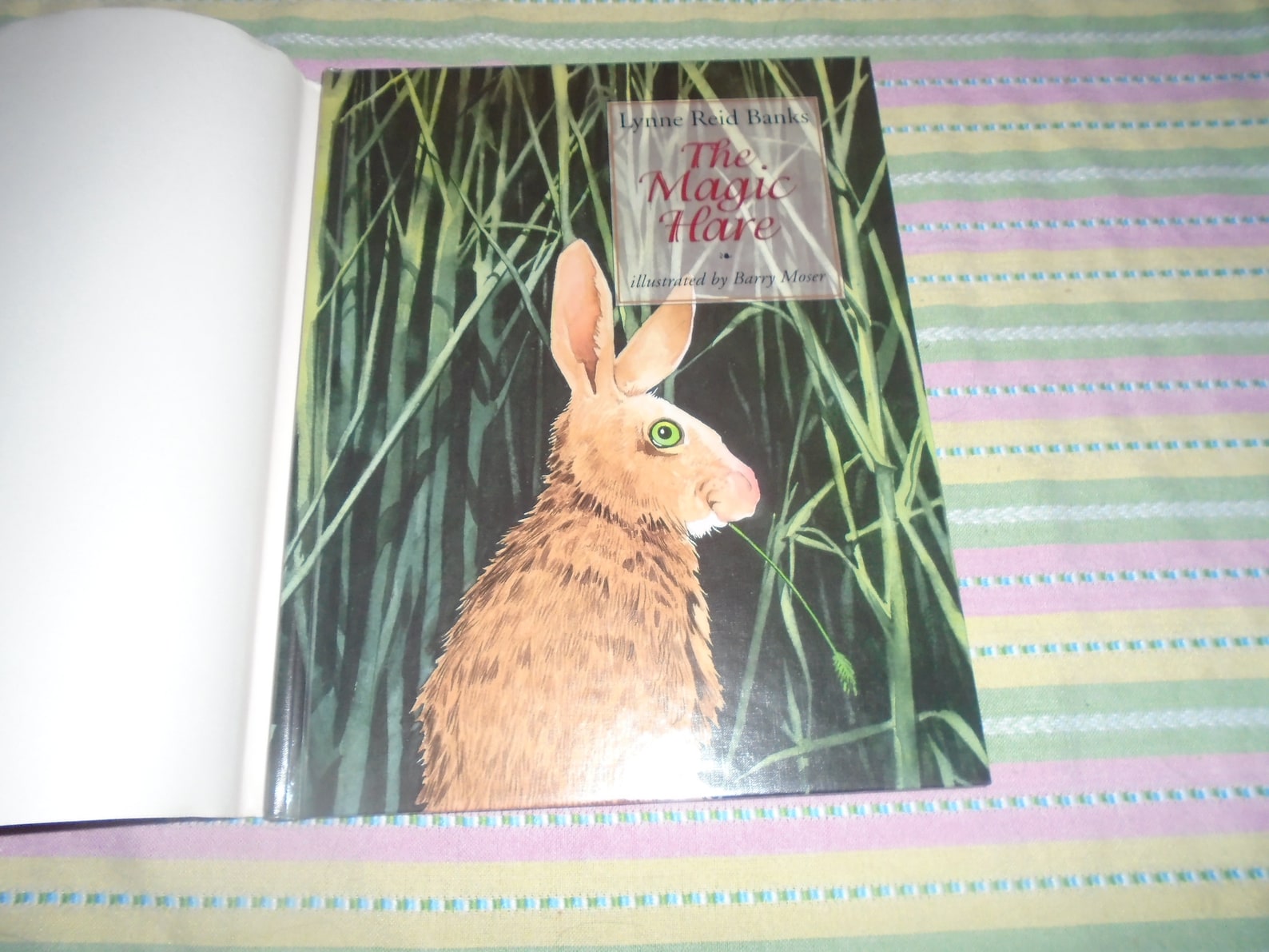 The Magic Hare Hardcover Book by Lynne Reid Banks Illustrated | Etsy