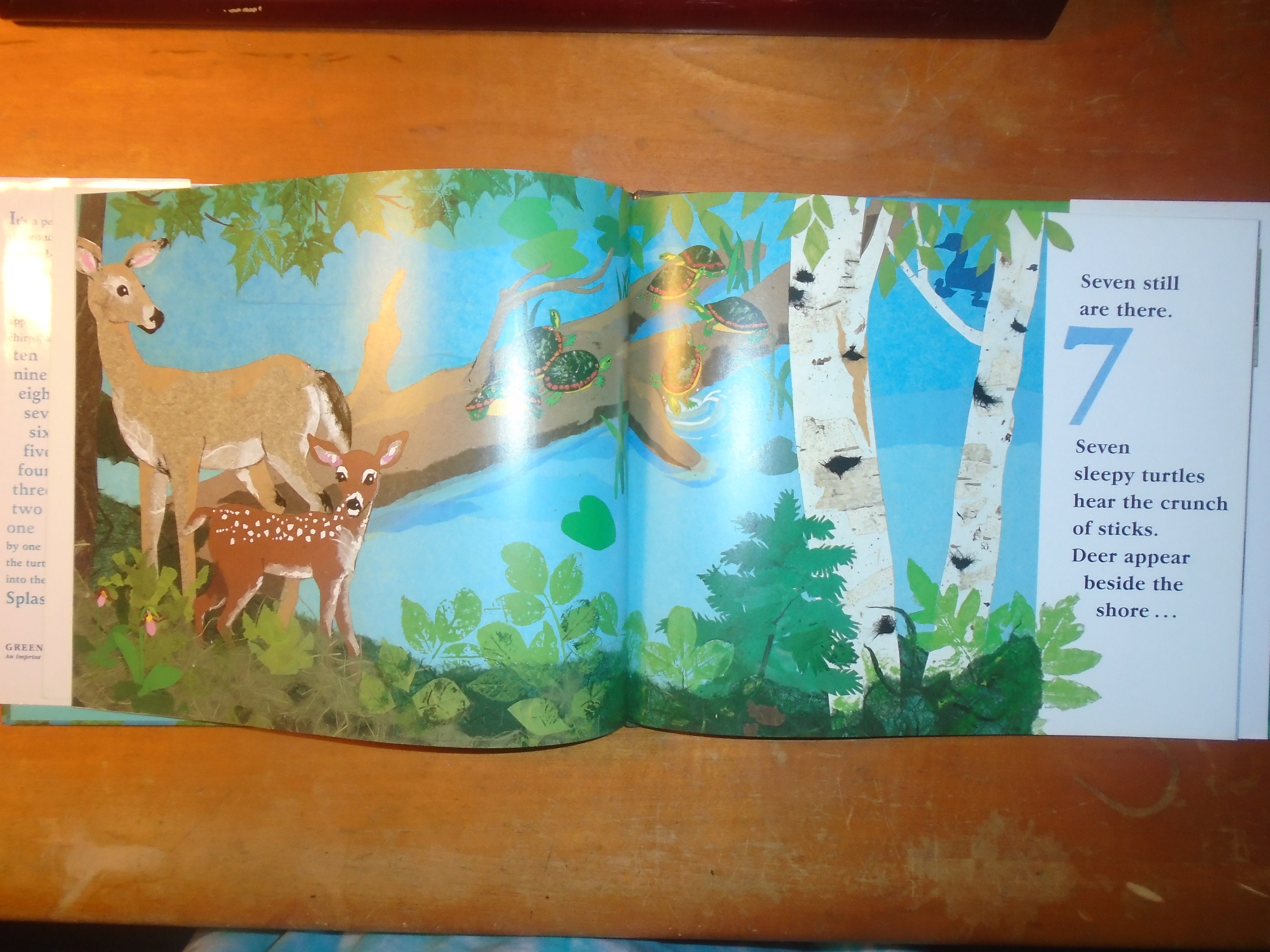 Turtle Splash Countdown at the Pond Hardcover Book With Dust - Etsy