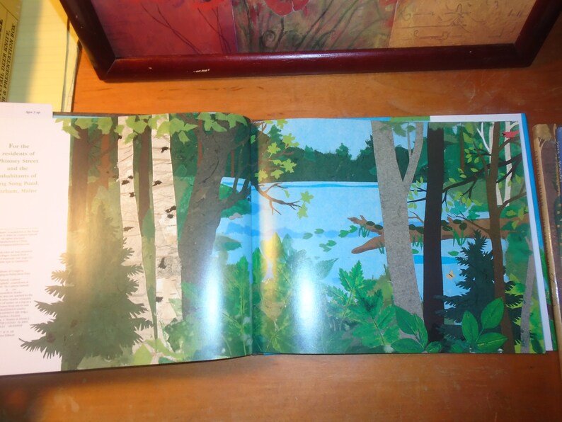 Turtle Splash Countdown at the Pond Hardcover Book With Dust - Etsy