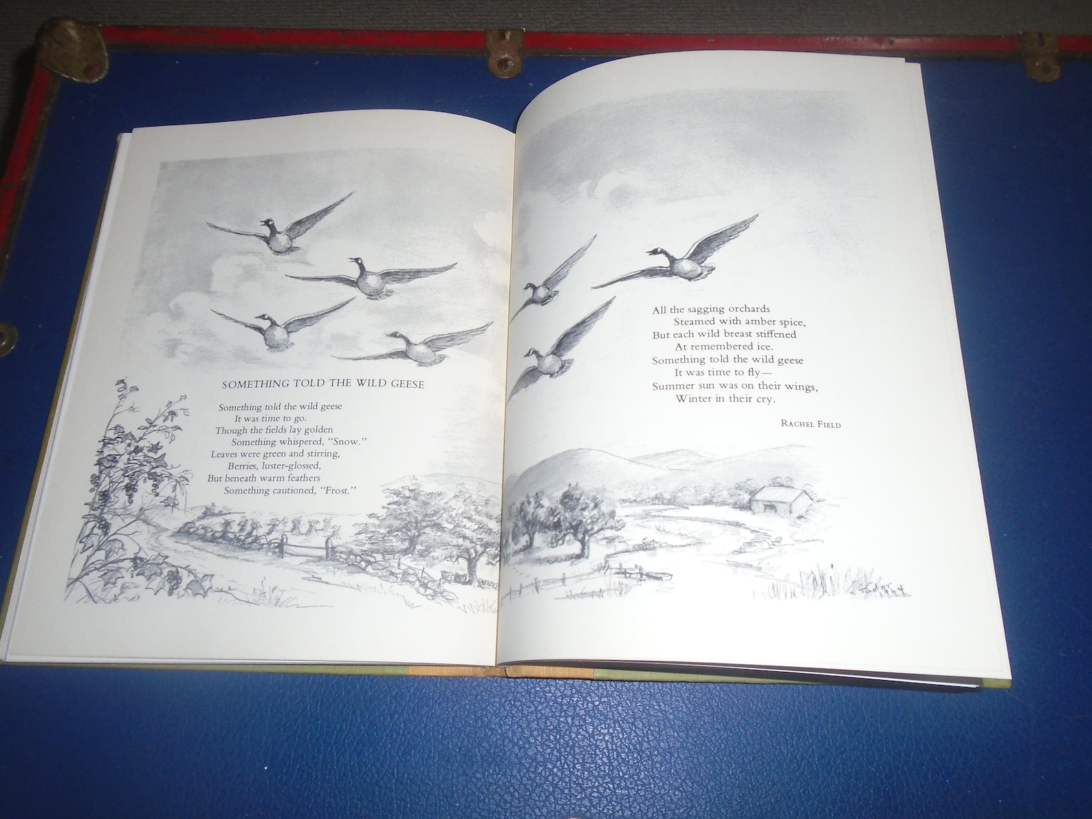 Wings From the Wind an Anthology of Poems Selected and Illustrated by ...