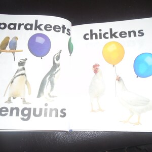 Animals Rainbow Books Hardcover Photography by George Siede and Donna ...