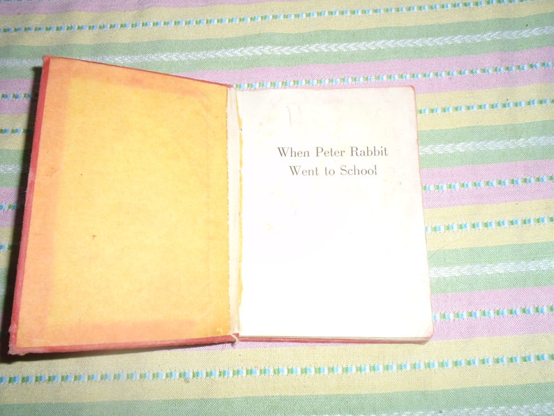 When Peter Rabbit Went to School Small Hardcover Book by Linda - Etsy