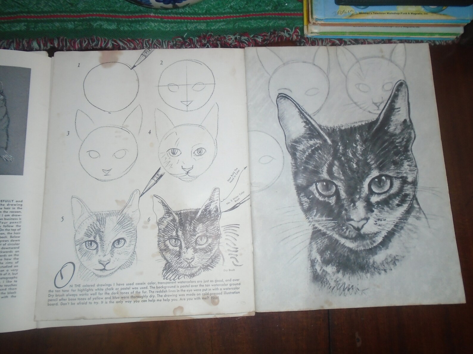 How to Draw and Paint Animal Expressions Textures of Animals - Etsy