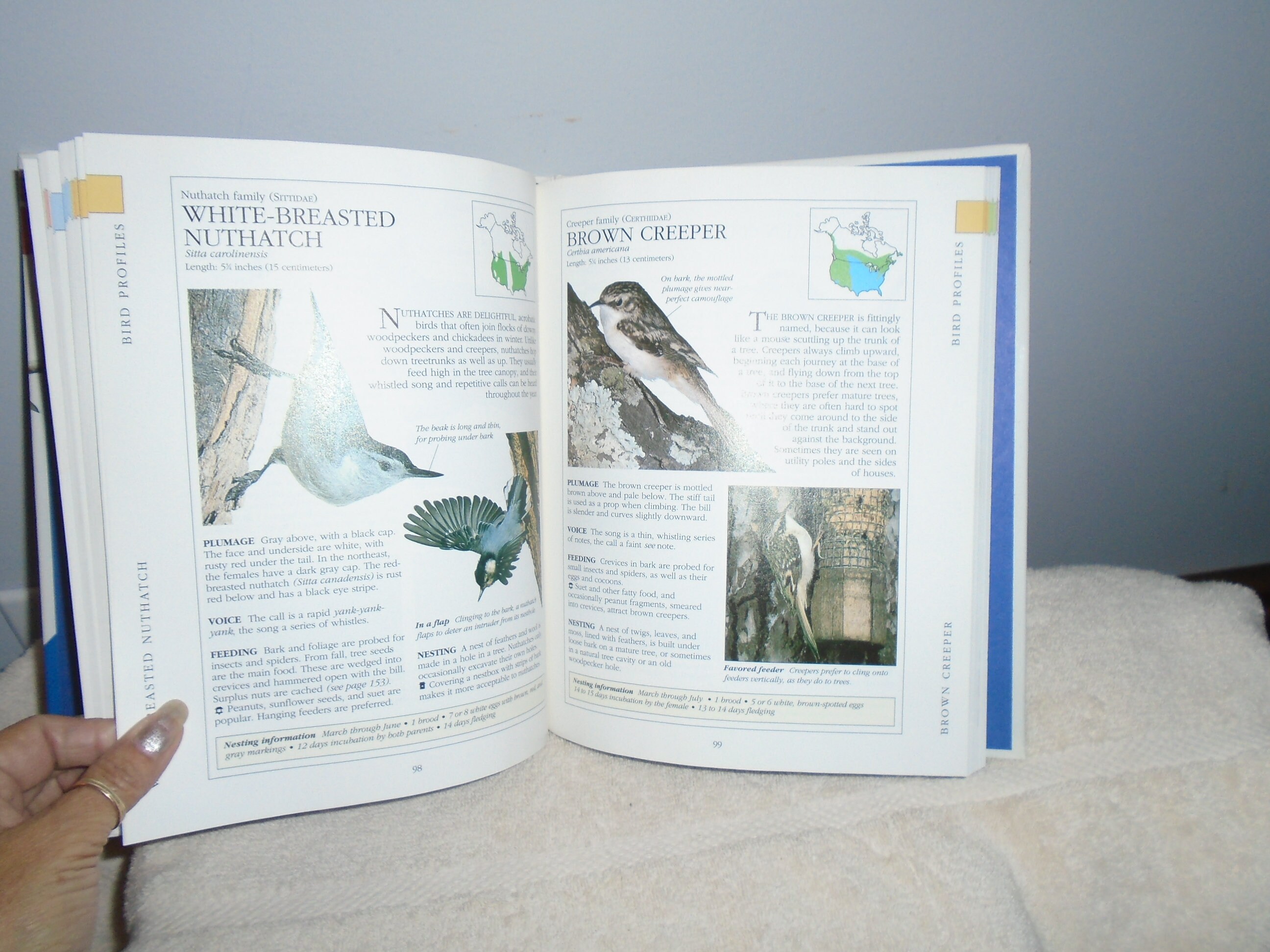 National Audubon Society North American Bird Feeder Hand Book | Etsy