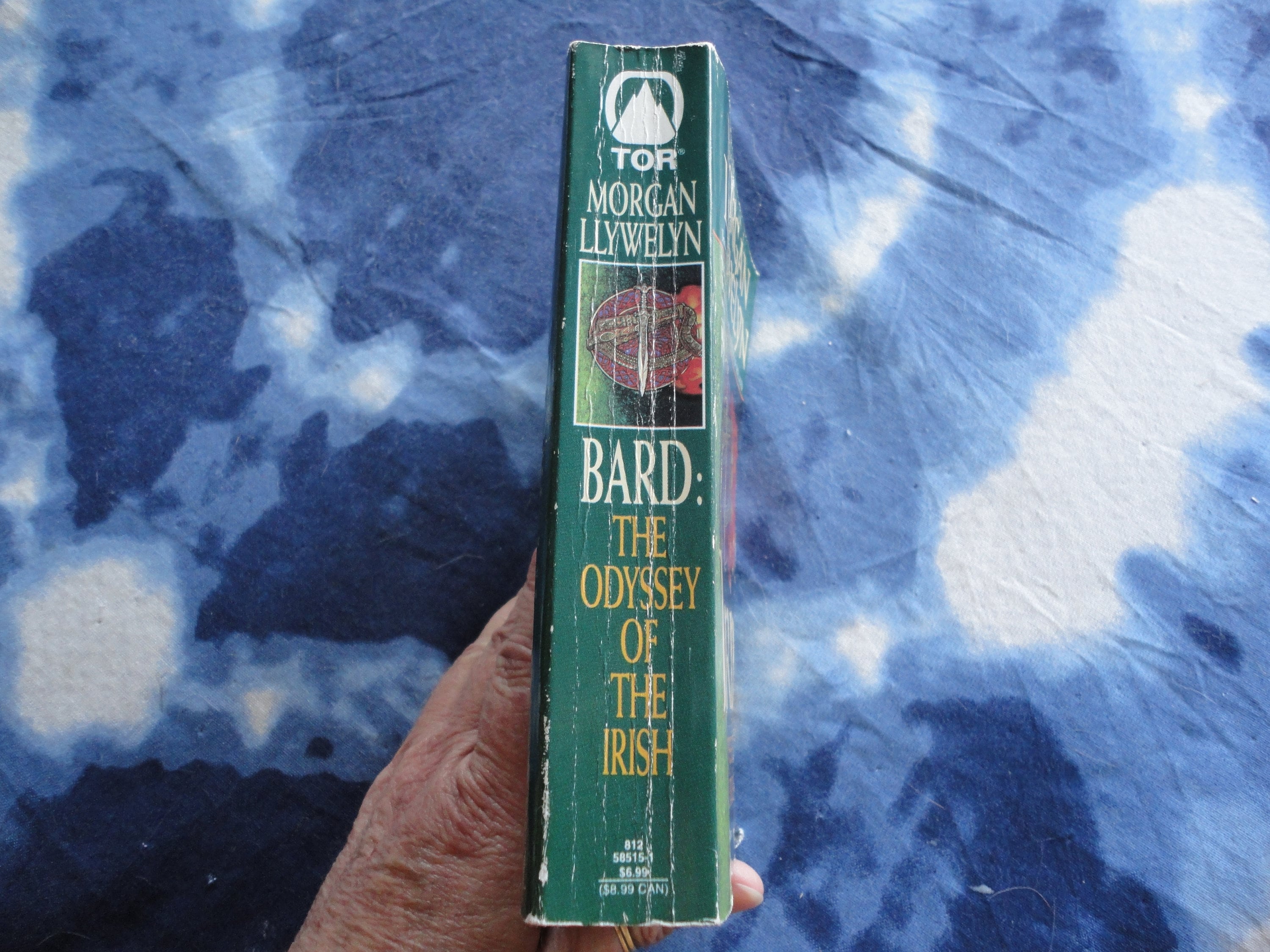 Bard the Odyssey of the Irish Vintage Paperback Book - Etsy