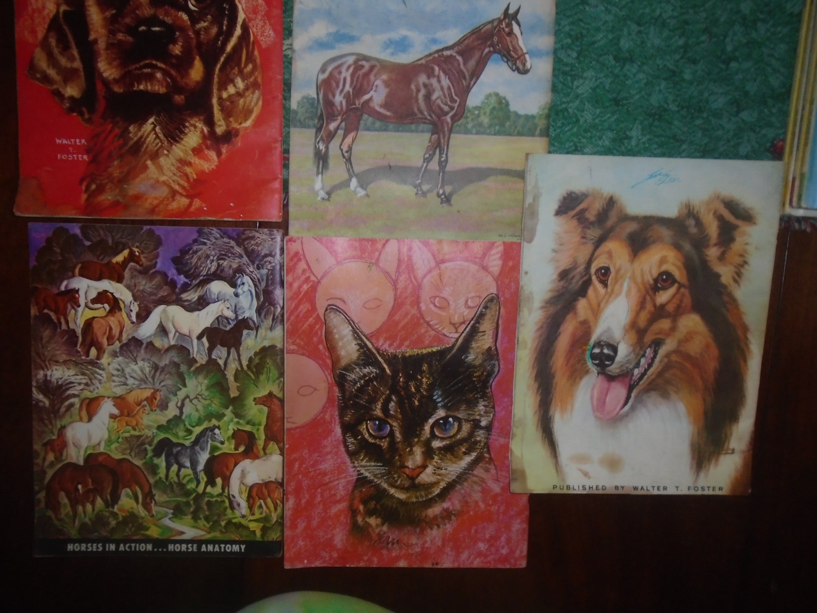 How to Draw and Paint Animal Expressions Textures of Animals - Etsy