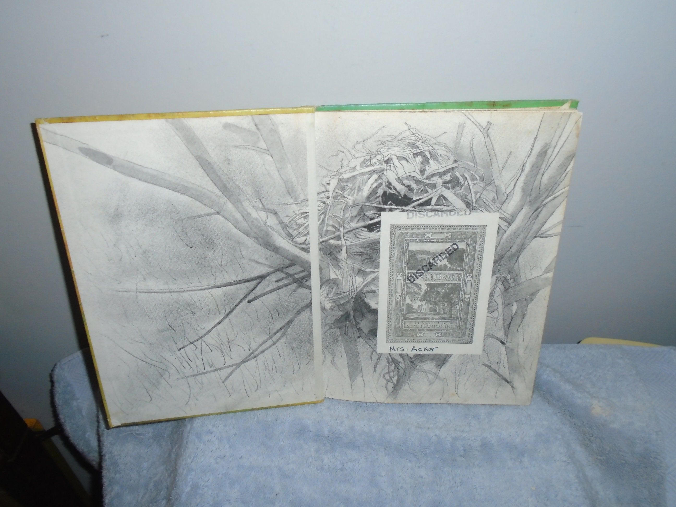 Sing, Little Mouse Hardcover Book by Aileen Fisher - Etsy