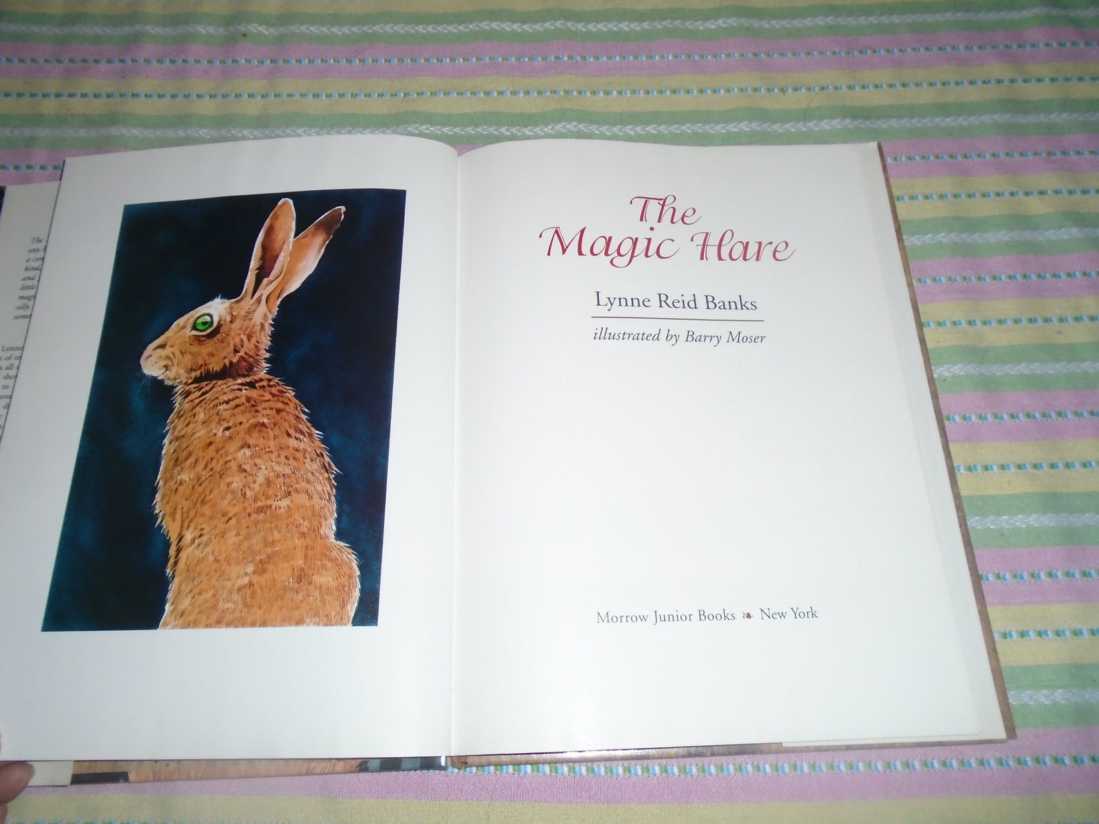 The Magic Hare Hardcover Book by Lynne Reid Banks Illustrated - Etsy
