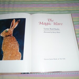 The Magic Hare Hardcover Book by Lynne Reid Banks Illustrated by Barry ...
