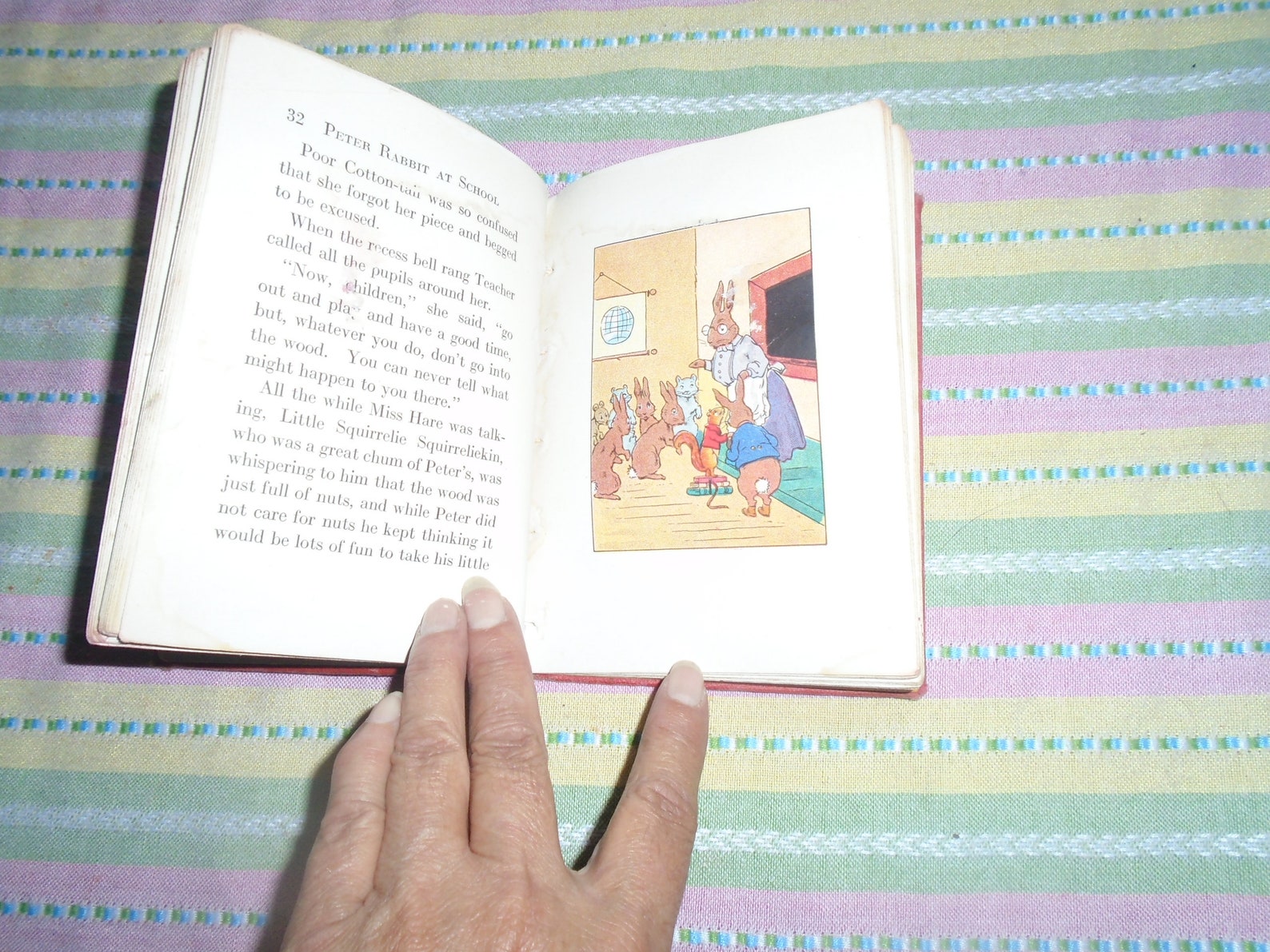 When Peter Rabbit Went to School Small Hardcover Book by Linda Stevens ...