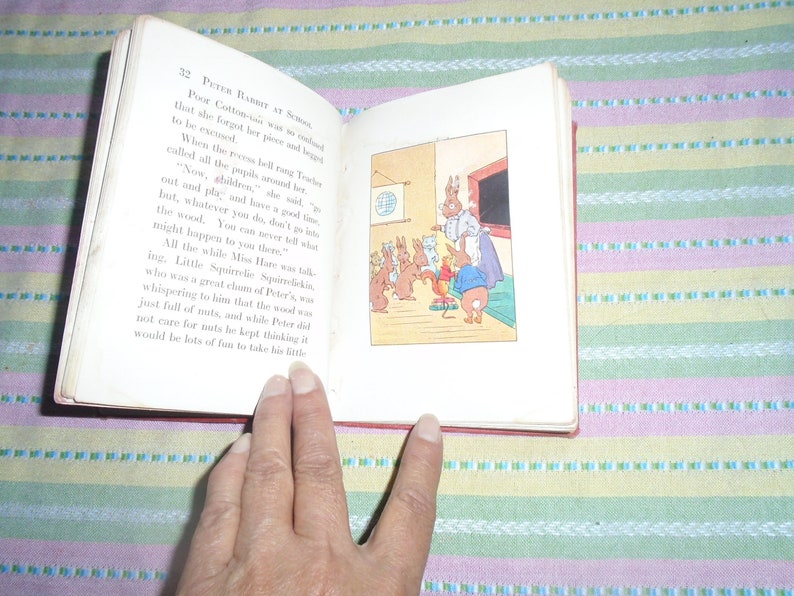 When Peter Rabbit Went to School Small Hardcover Book by Linda - Etsy
