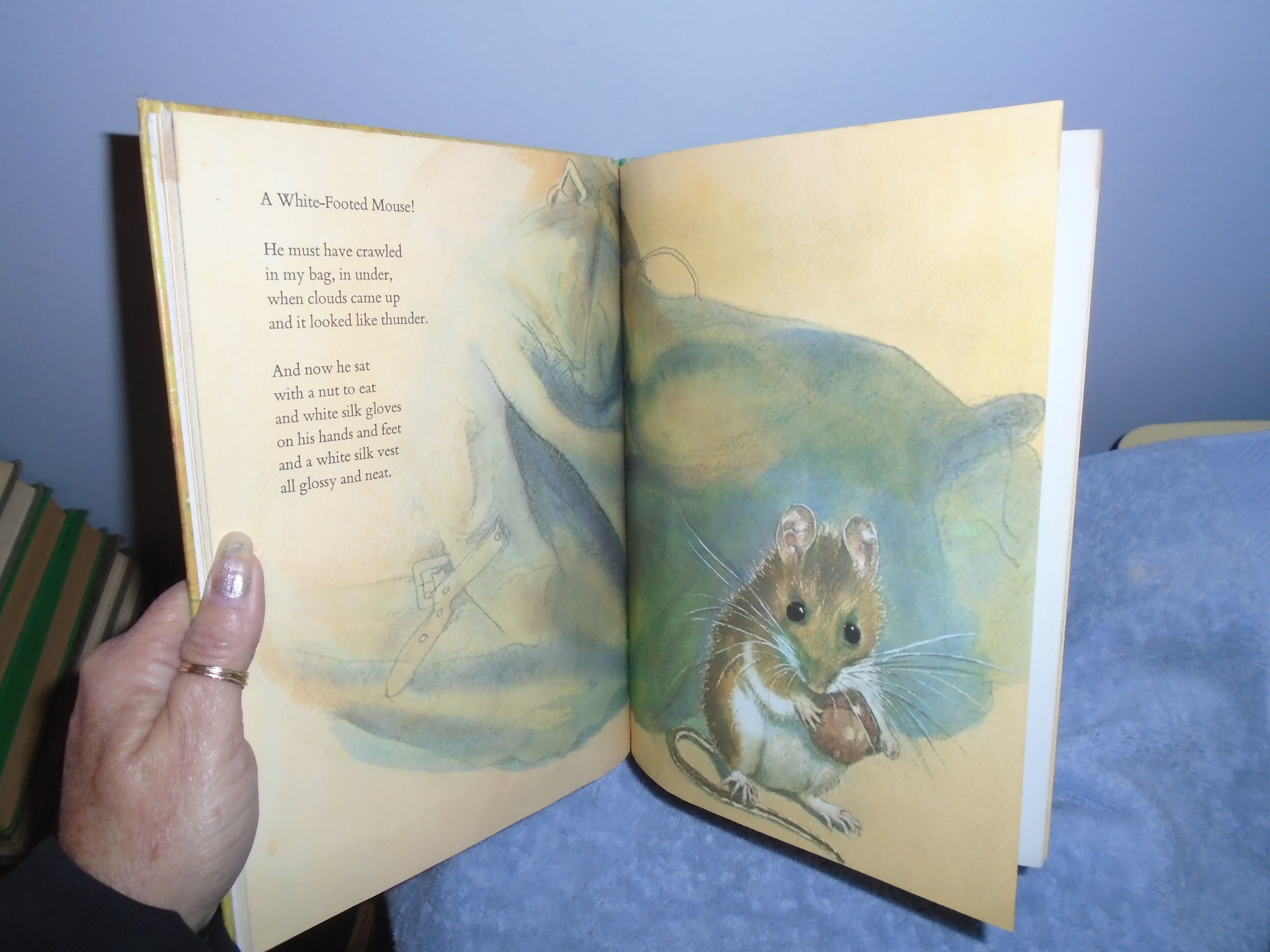 Sing, Little Mouse Hardcover Book by Aileen Fisher - Etsy