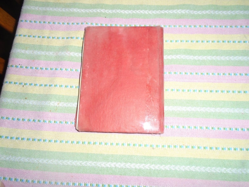 When Peter Rabbit Went to School Small Hardcover Book by Linda Stevens ...