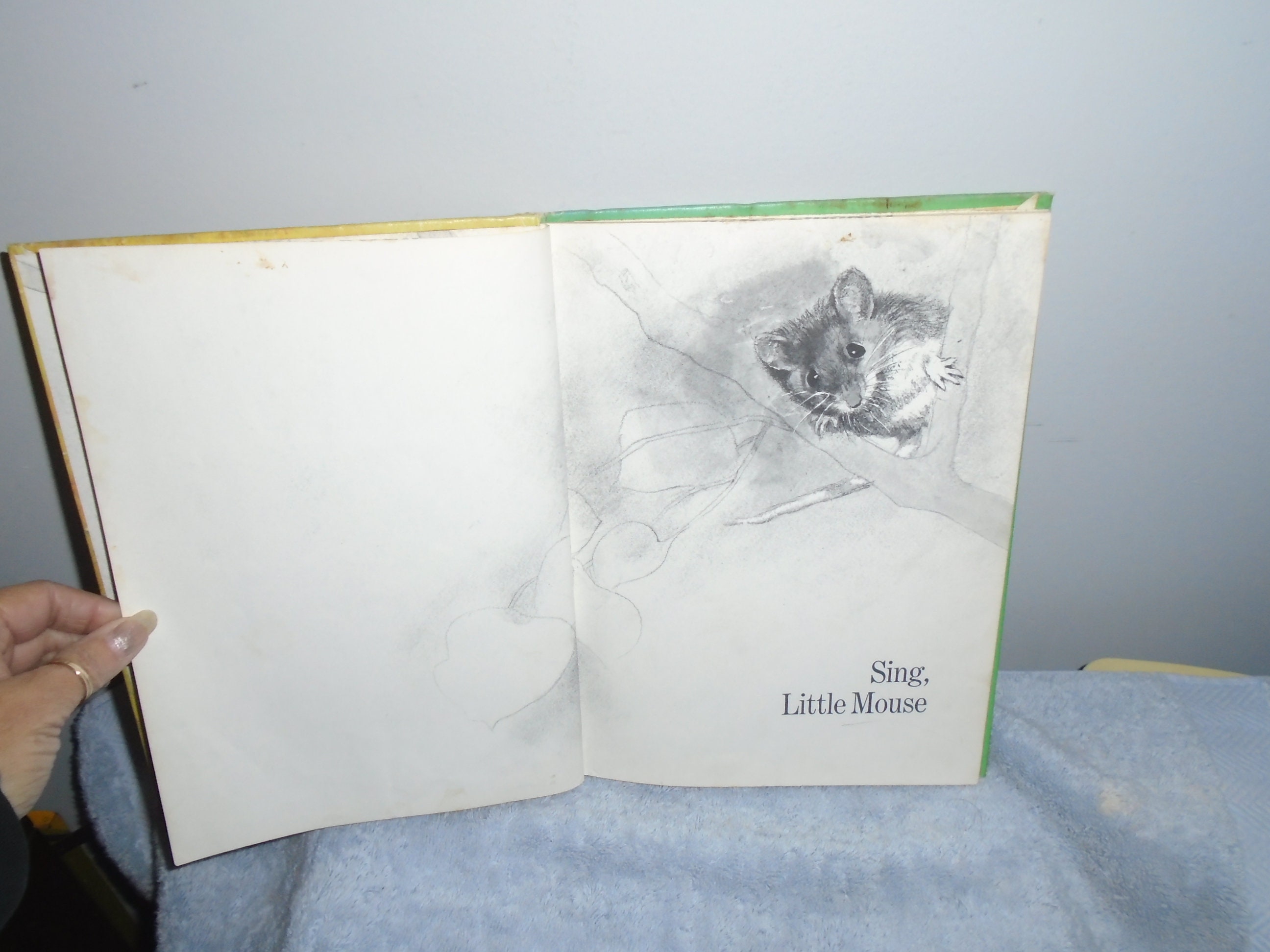 Sing, Little Mouse Hardcover Book by Aileen Fisher - Etsy