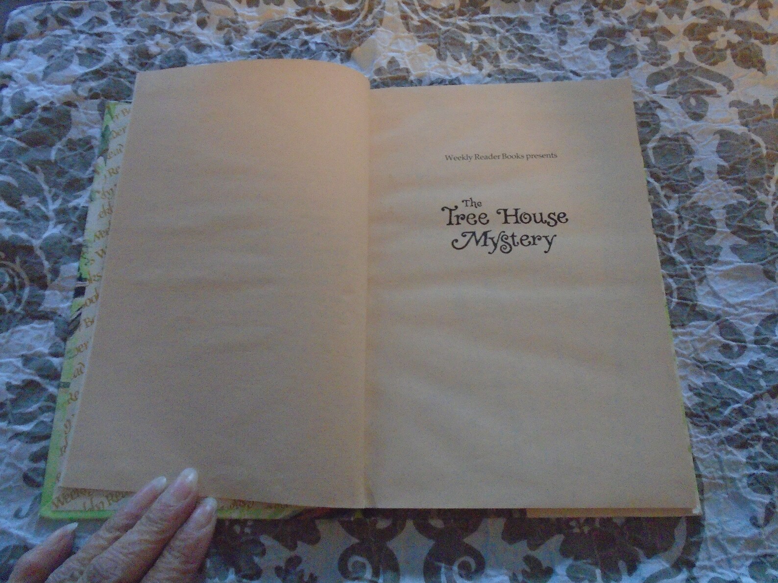 The Tree House Mystery Hardcover Book by Carol Beach York - Etsy