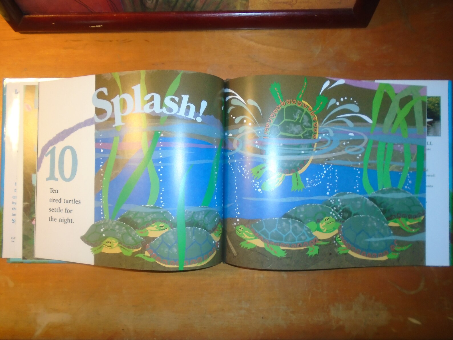 Turtle Splash Countdown at the Pond Hardcover Book With Dust - Etsy