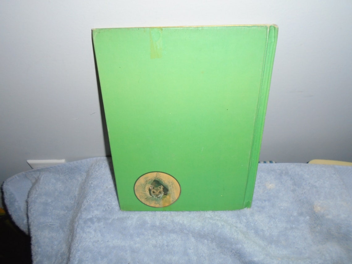 Sing Little Mouse Hardcover Book by Aileen Fisher - Etsy