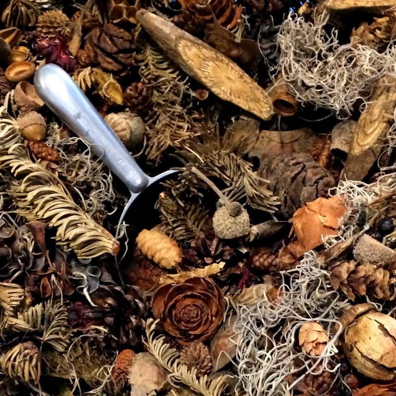 Forest Floor Candles - Etsy