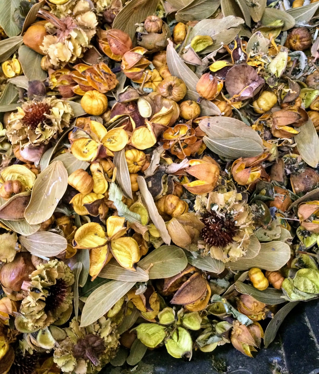 Popurrí / NOVIEMBRE / Rico y cálido butternut, jarabe de arce, aroma a ...