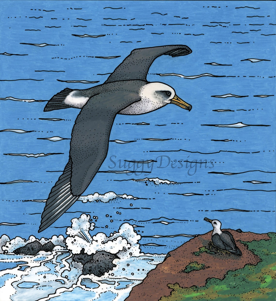 Laysan Albatross 8 X 10 Giclee Print of Original Pencil & Ink ...