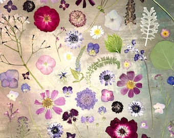 Pressed Flowers Assortment 50 Pieces Pressed Wild Flowers Dried Flowers ...