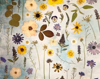 Pressed Flowers Assortment 50 Pieces Pressed Wild Flowers Dried Flowers ...