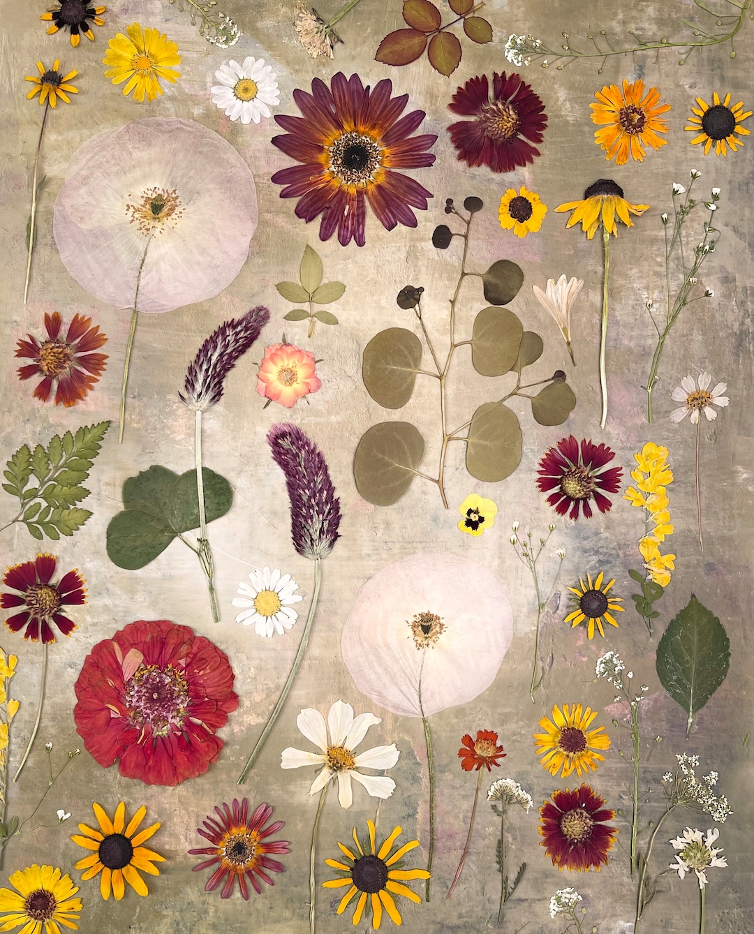 50 Pieces Pressed Flowers Assortment Pressed Wild Flowers Dried Flowers ...
