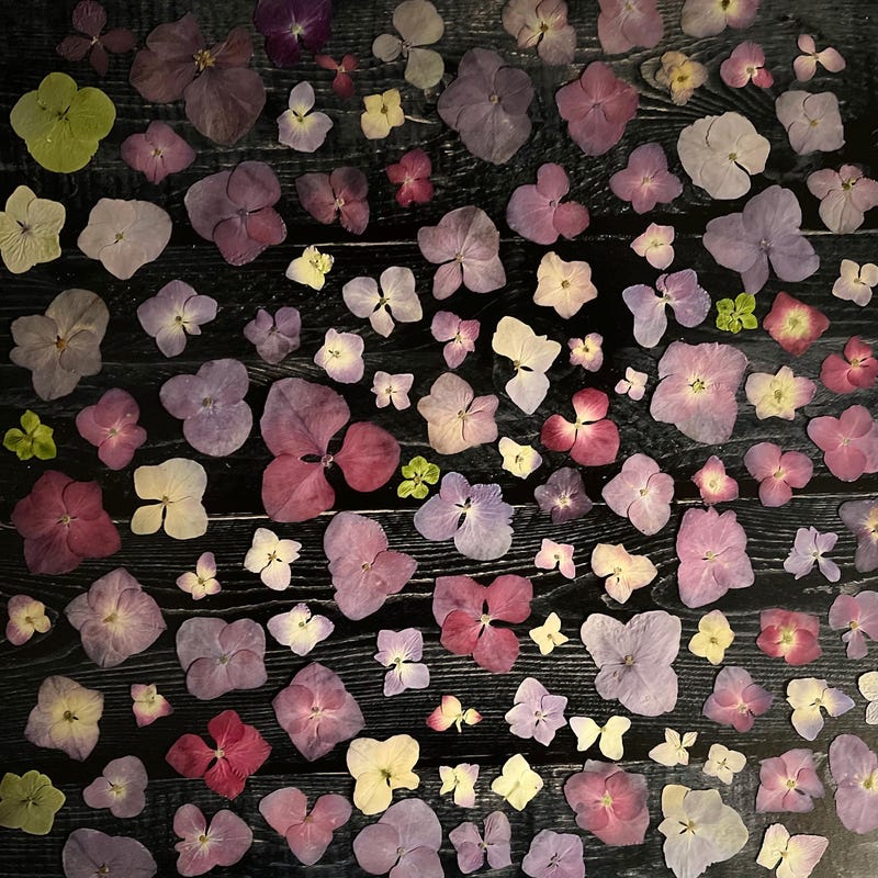 Hydrangea Soap - Etsy