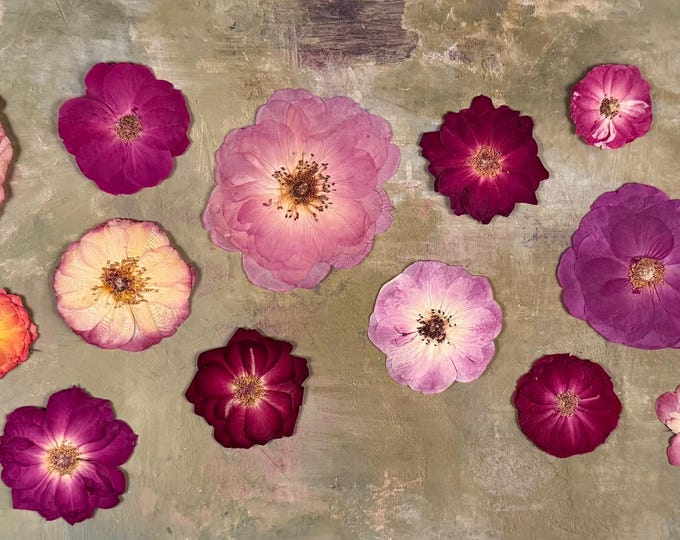Pressed Roses, 15 Assorted Roses, Pressed Dried Flowers,pressed Flowers ...