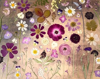 Pressed Flowers Assortment 50 Pieces Pressed Wild Flowers Dried Flowers ...
