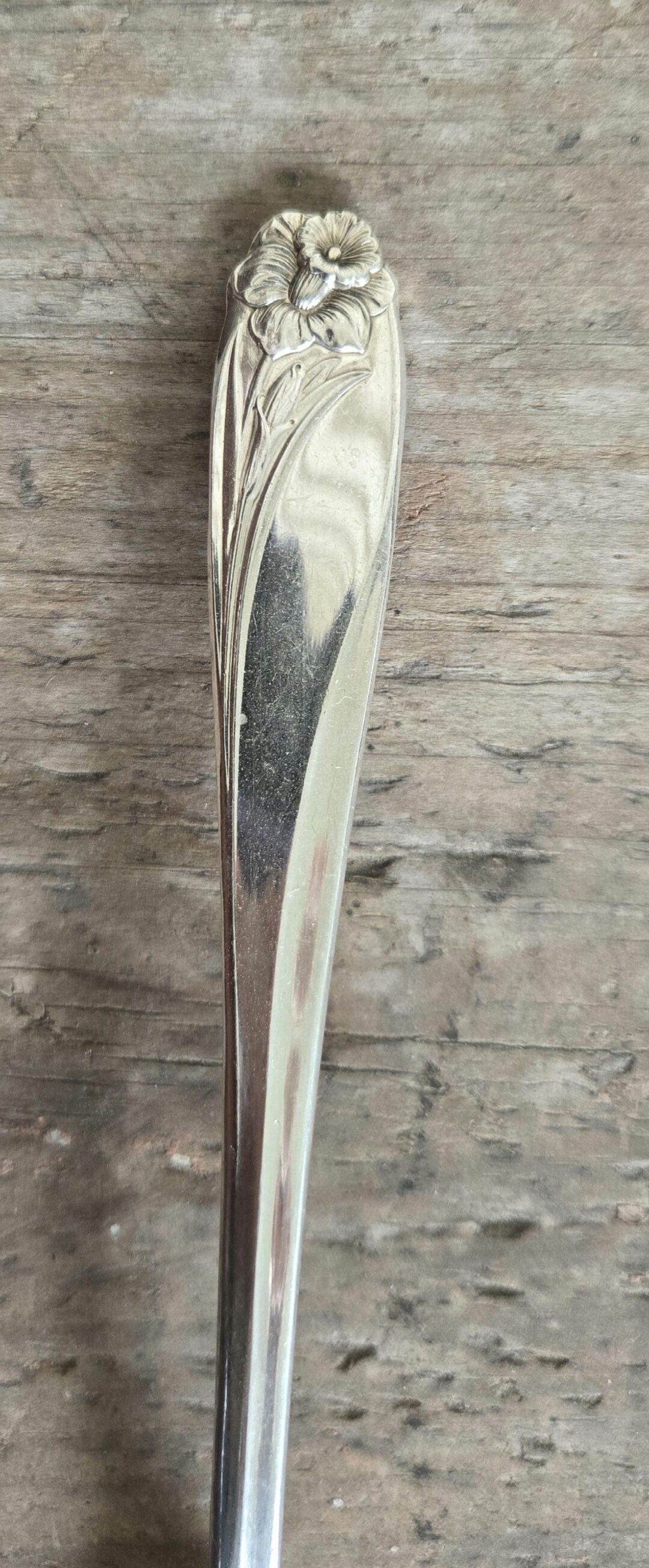 Daffodil 1847 Rogers Brothers Silverplate Flatware Set: 57 Piece Mid ...