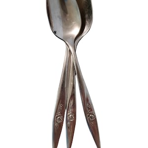 Oneida Craft Deluxe, Lasting Rose, Stainless Steel Flatware, 18 Pcs ...