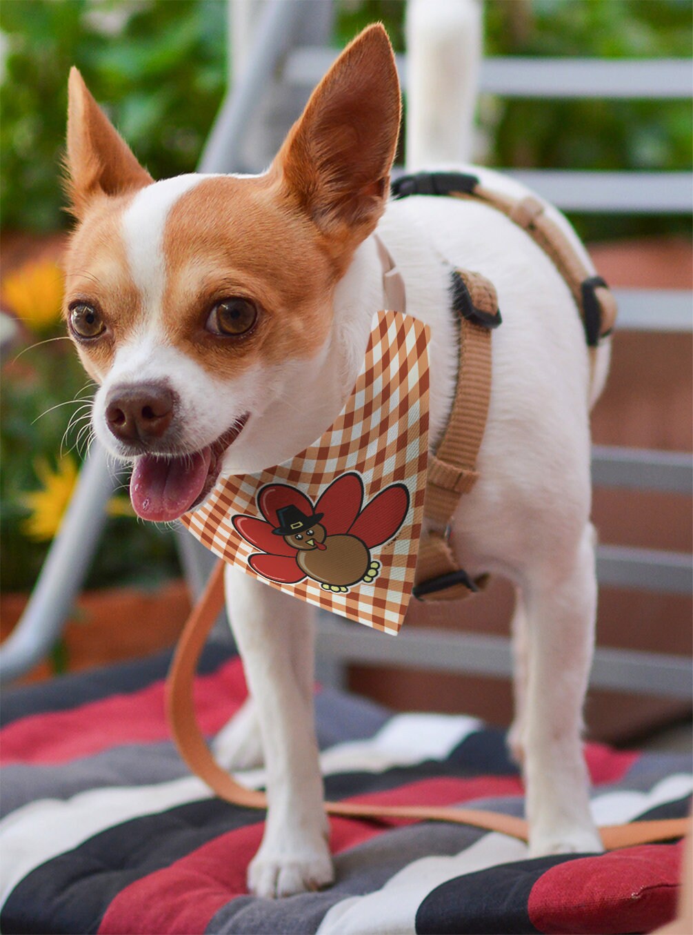 Full Year of Holidays Dog Collar Accessories Dog Bib Holiday | Etsy