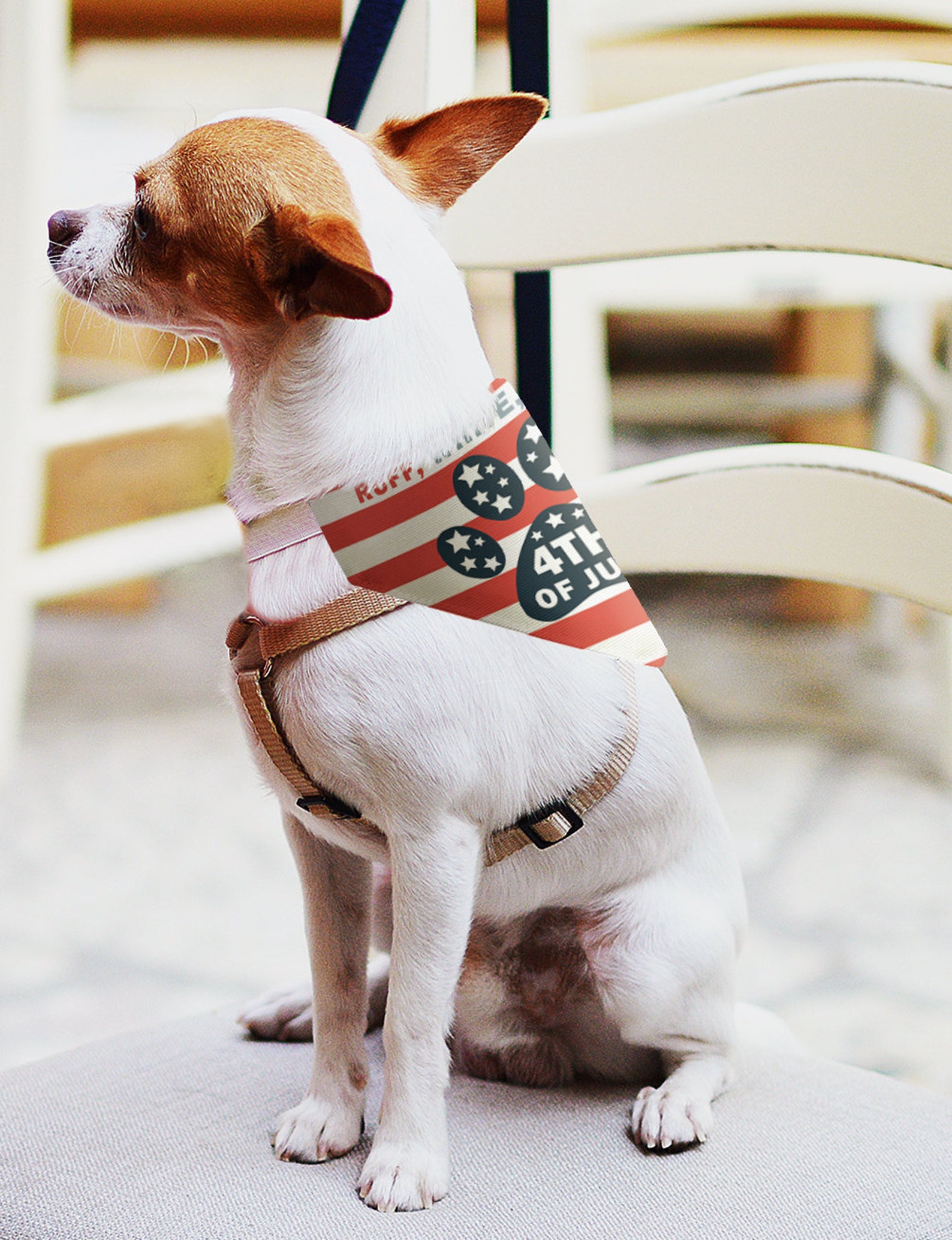 Full Year of Holidays Dog Collar Accessories Dog Bib Holiday | Etsy