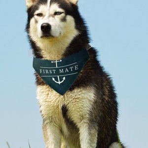 Full Year of Holidays Dog Collar Accessories Dog Bib Holiday Themed ...